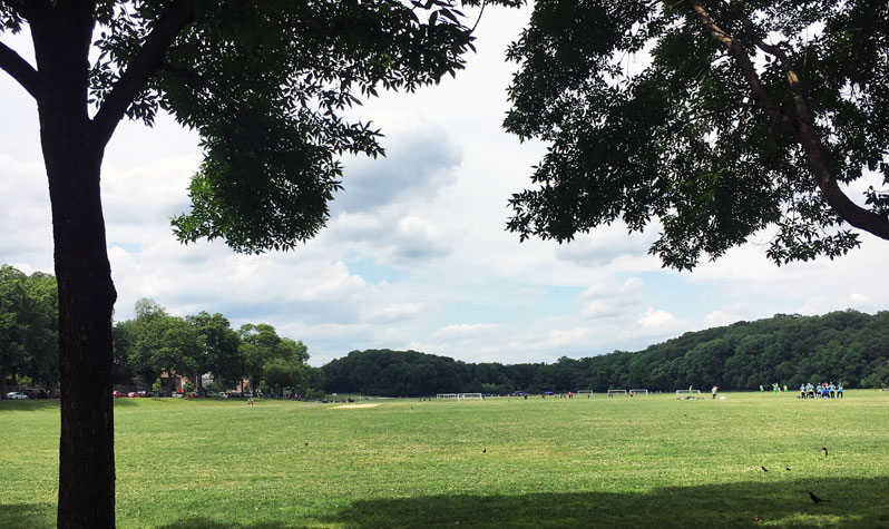 When and Where to View the Solar Eclipse in NYC : NYC Parks