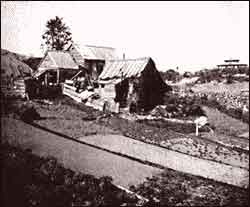 Parks for the New Metropolis : Online Historic Tour : NYC Parks