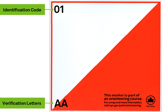 Orienteering at Alley Pond Park : NYC Parks