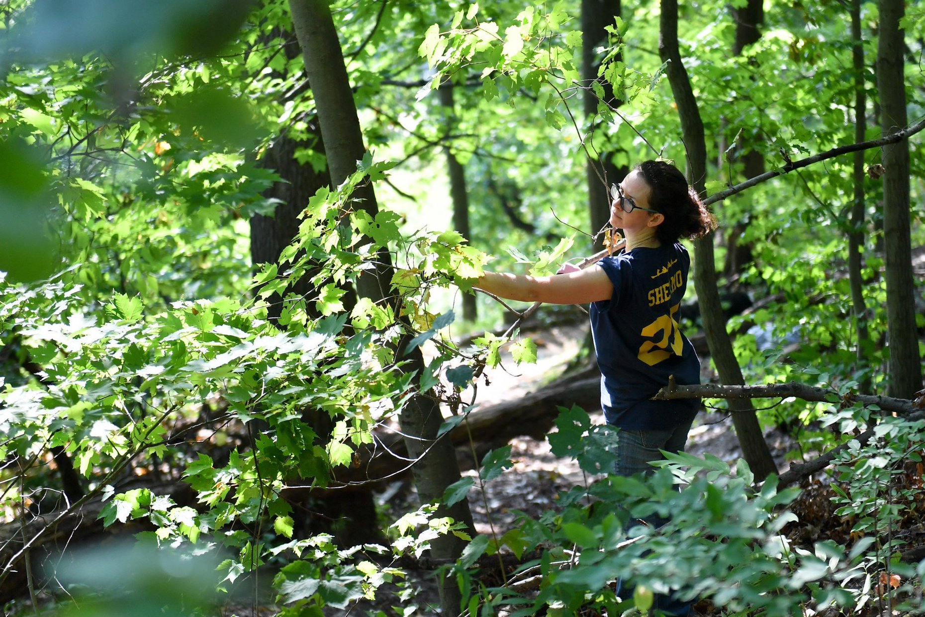 Restoring New York City's Ecosystems in the Face of Climate Change ...