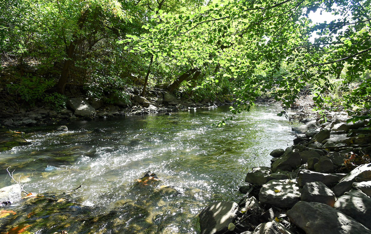 Restoring New York City's Ecosystems in the Face of Climate Change ...