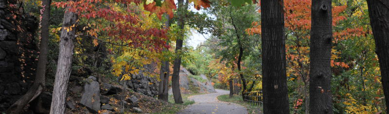 Highbridge Park Hiking Trail : NYC Parks
