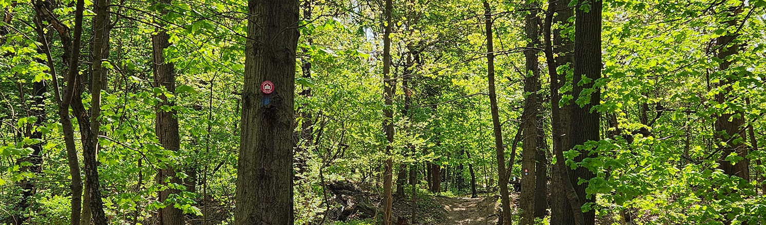 Kissena Park & Kissena Corridor Hiking Trails : NYC Parks